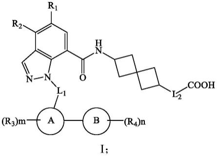 用于治疗EP2、EP4受体介导的疾病的苯并杂环化合物的制作方法