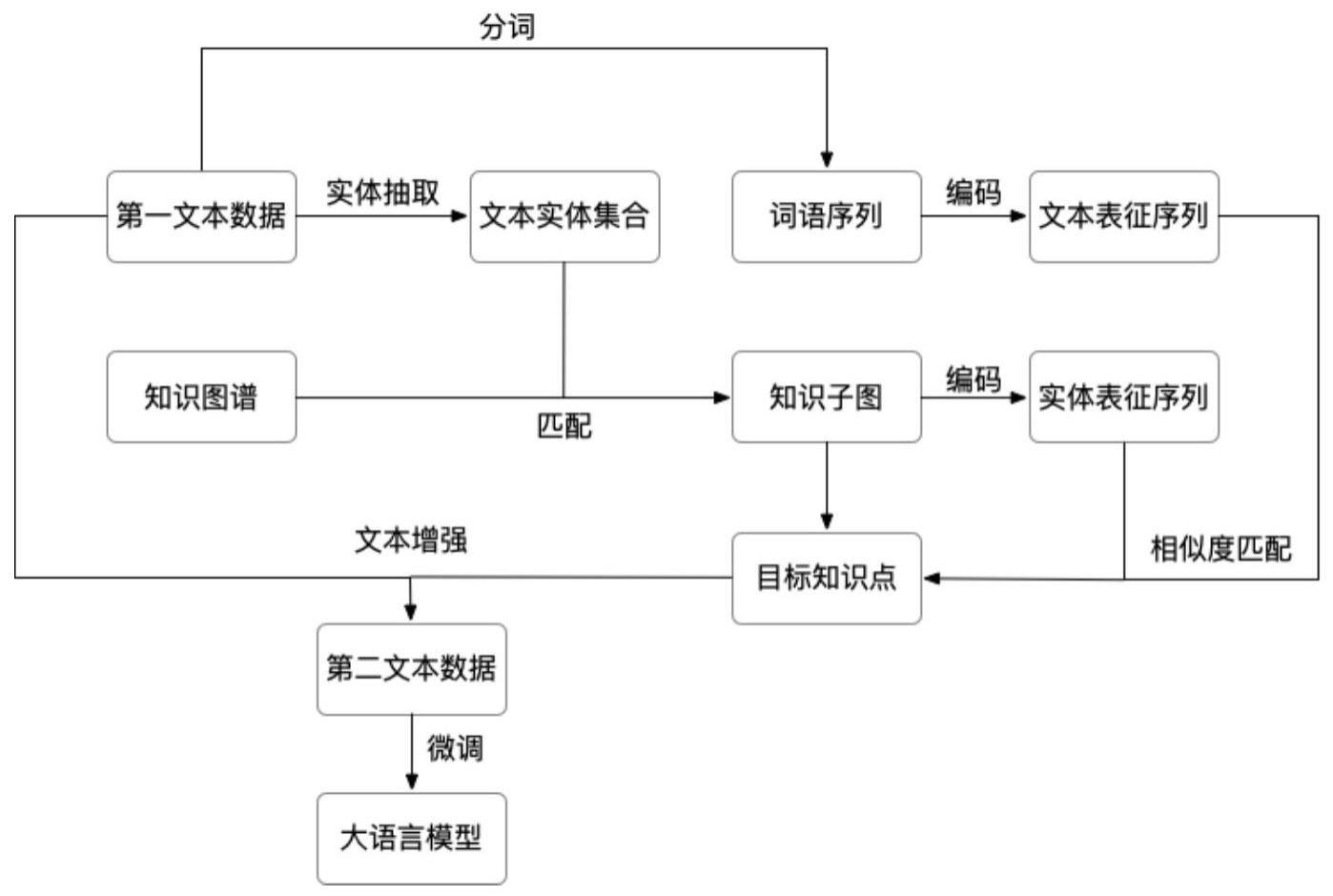 一种基于知识图谱的大语言模型微调方法及装置与流程