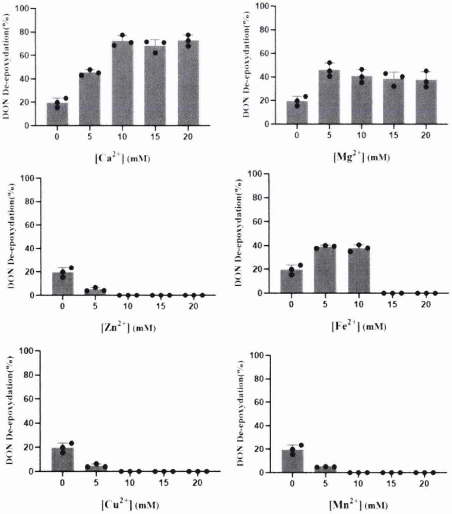 一种促进Slackia属细菌降解呕吐毒素的培养基及其培养方法
