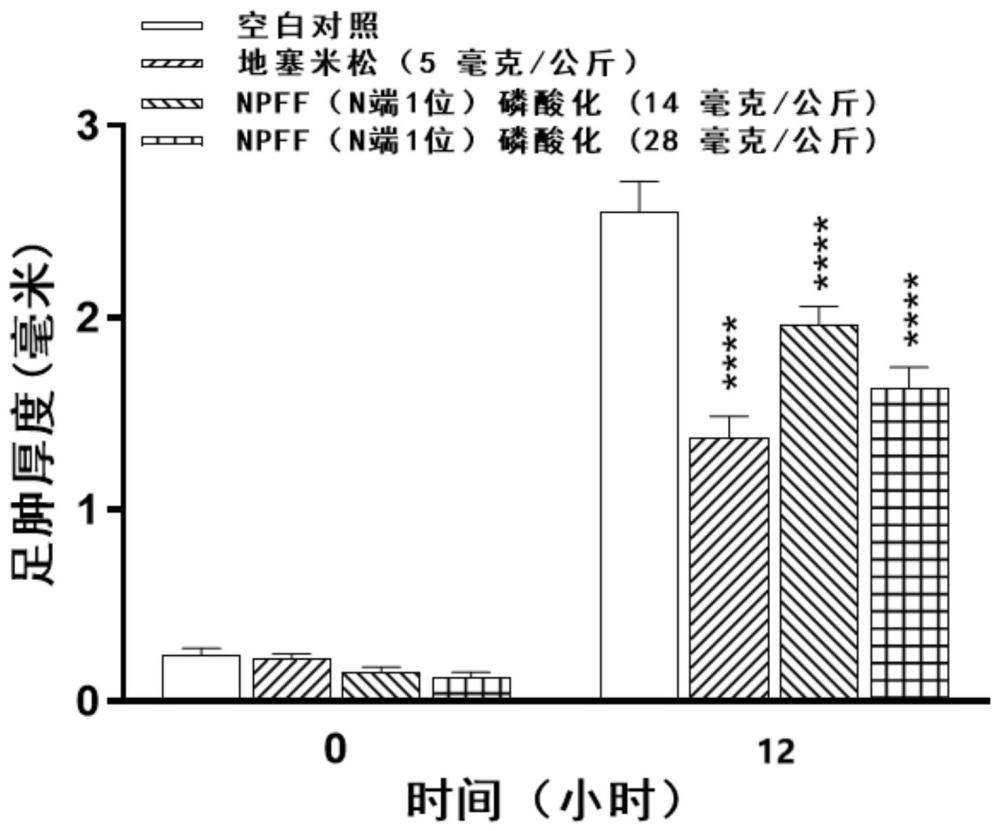 一种NPFF的N端1位磷酸化修饰的衍生物及其制备方法和应用